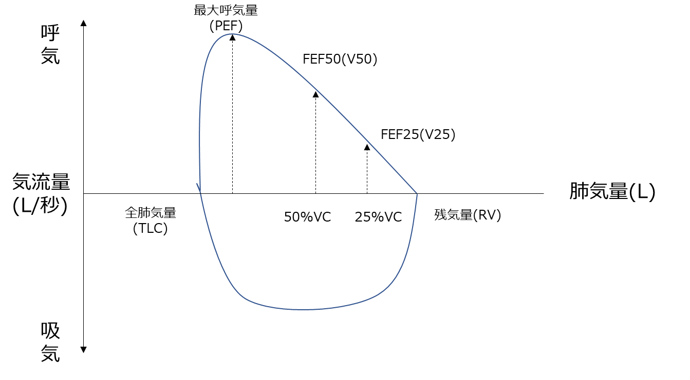呼吸機能検査│不識庵-万年研修医のブログ-